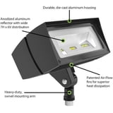 RAB Lighting FFLED18 Floodlight, 18W LED, 120V-277V, Bronze, Hardwired ...