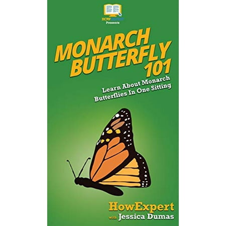 Monarch Butterfly 101: Learn About Monarch Butterflies In One Sitting ...
