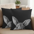 Black Rabbit Throw Pillow Covers 16 x 16 Inch Pillow Covers Set of 2 ...