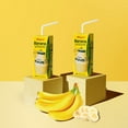 Banana Flavored Milk [Korea’s No 1 Classic & Original Banana Milk ...