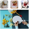 4 Packs Real Natural Dried Flowers for Making Mobile Phone Case Candle ...