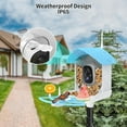 Bird Feeder with Camera, AI Bird Breed Recognition,Birds Motion ...