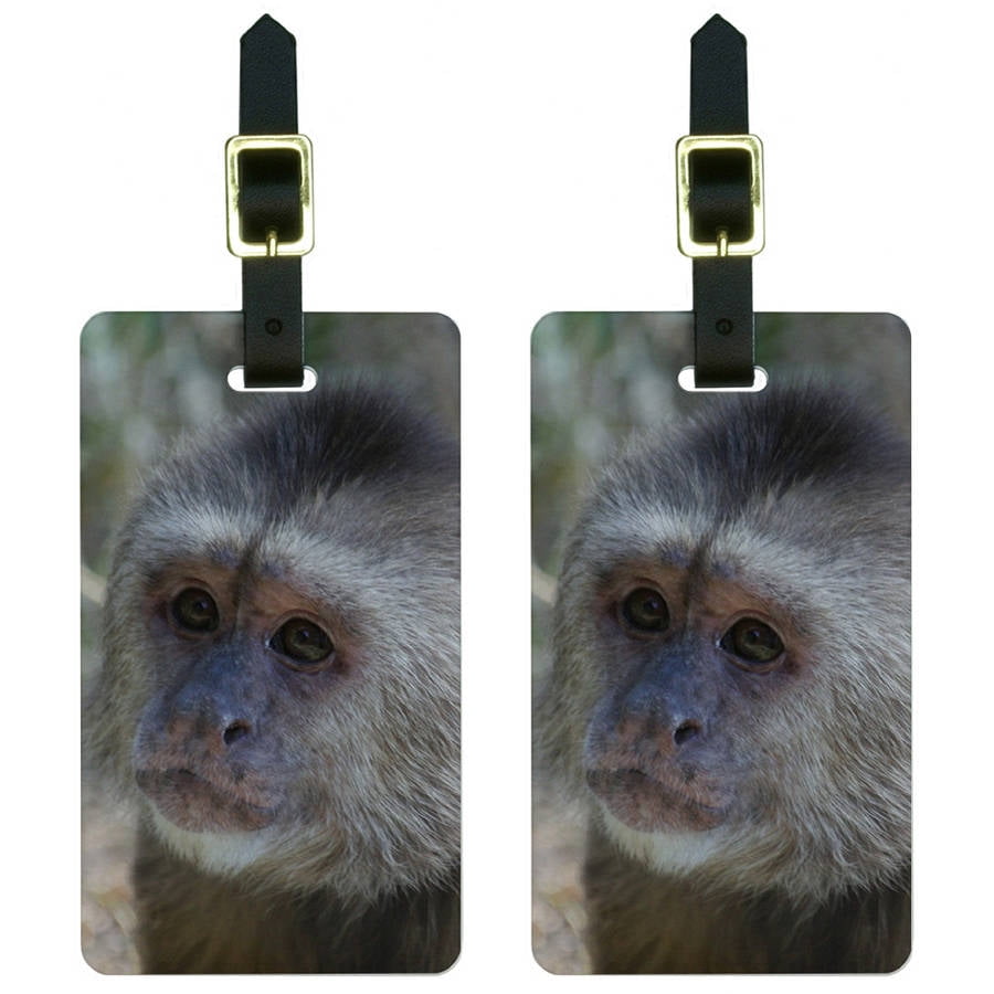 Monkey Face Luggage Tags Suitcase Carry-On ID, Set of 2 - Walmart.com