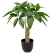 16 Inch Fake Money Tree Plant Potted Artificial Pachira Money Tree ...