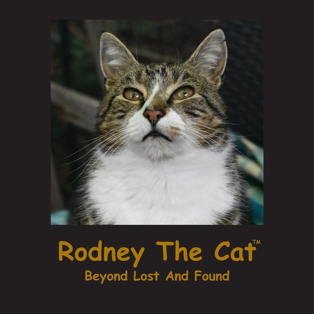 Found Lost Cat