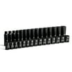 CASOMAN 1/2" Drive Master Socket Set, 36 Pc SAE/Metric, w/ Extension ...