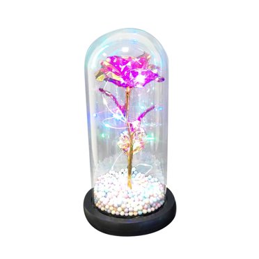 LED Glass Dome w/ Chrome Base - Walmart.com