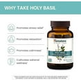 Himalaya Holy Basil Herbal Supplement Pills for Stress Relief ...
