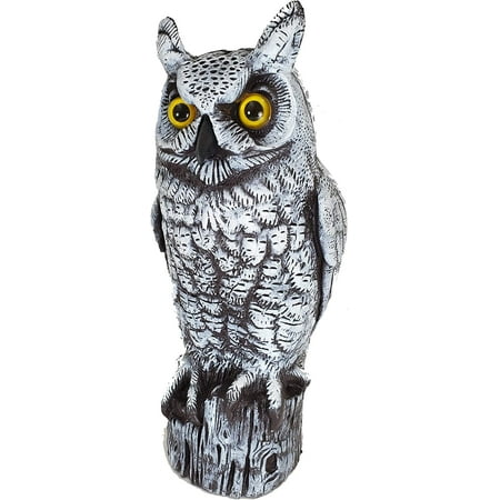 UPC 016069006655 - Dalen Fake Owl Decoy to Scare Birds Away from ...
