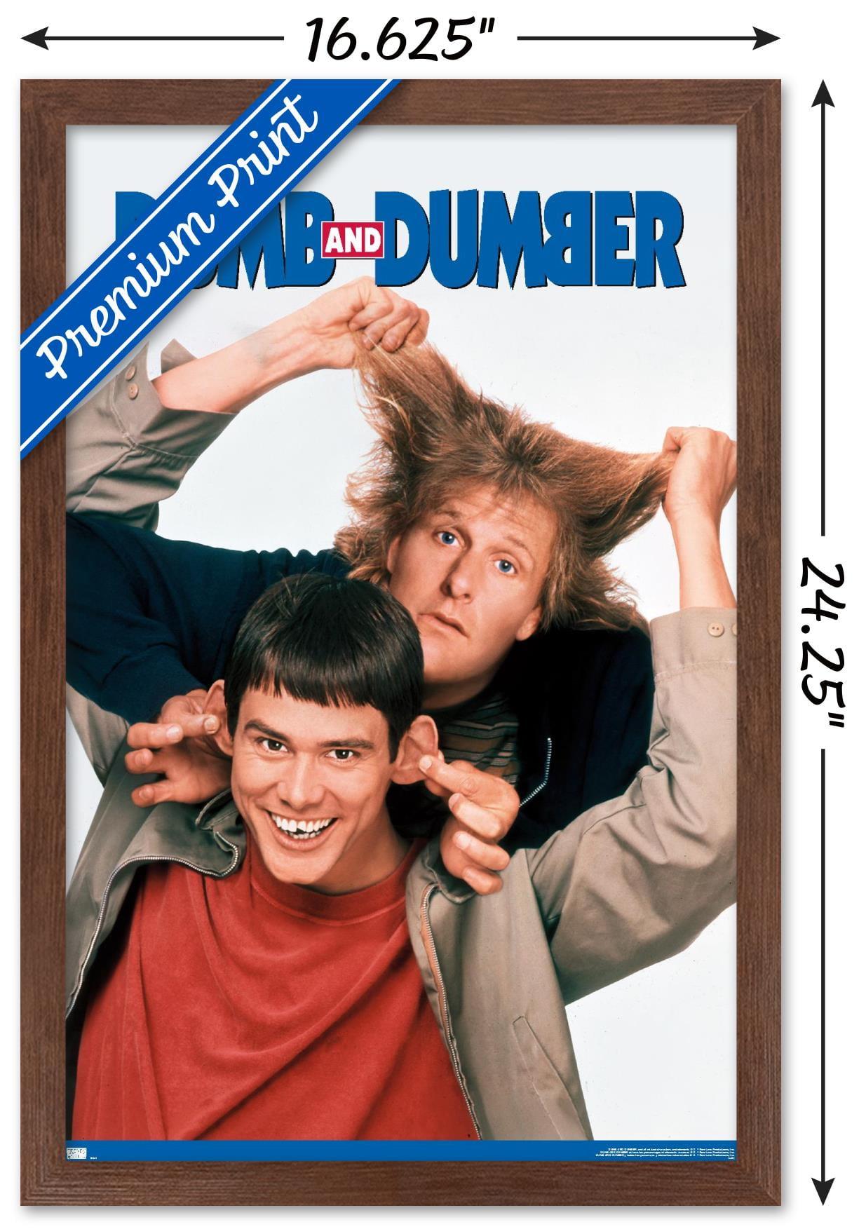 Dumb And Dumber Movie Poster
