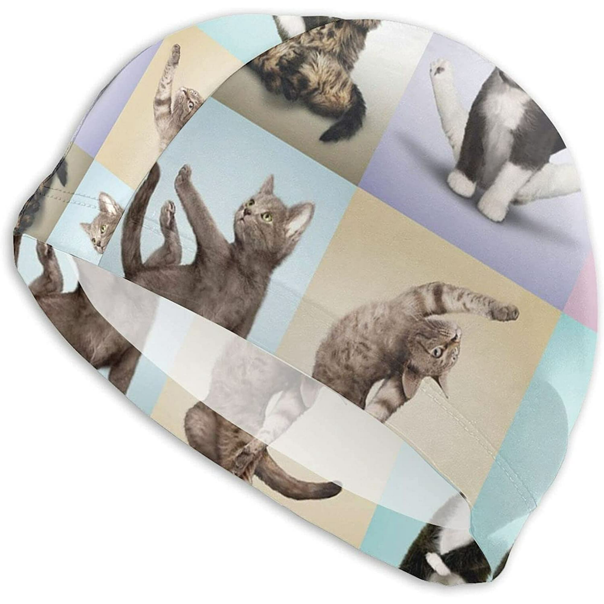Adult Swim Cat