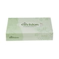 Envision 2-Ply Facial Tissue Flat Box 100 Count, 1 Flat Box - Walmart.com