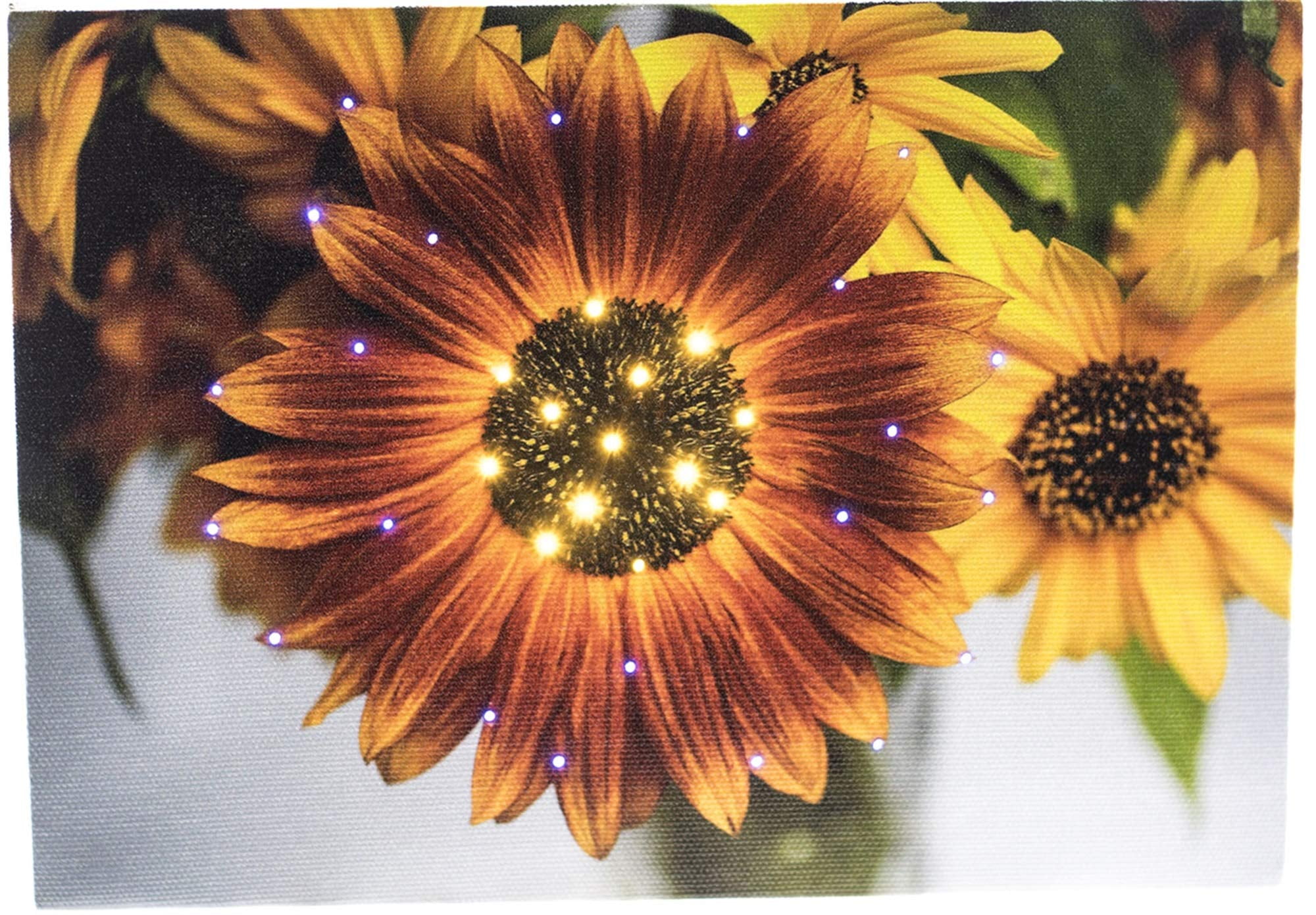 8.25" x 6" Flickering LED Lighted Canvas #349- Sunflower - Walmart.com