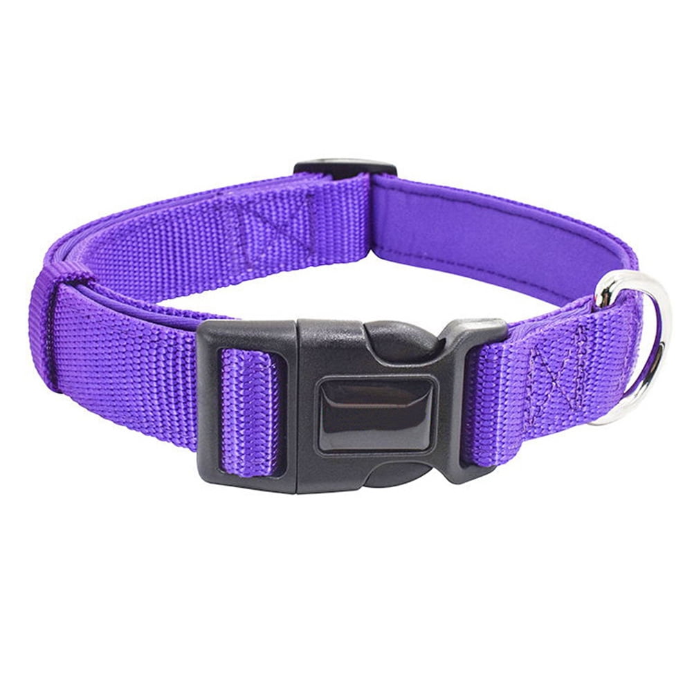Dog Collar, Advanced Basic Collar For Small, Medium And Large Dogs ...