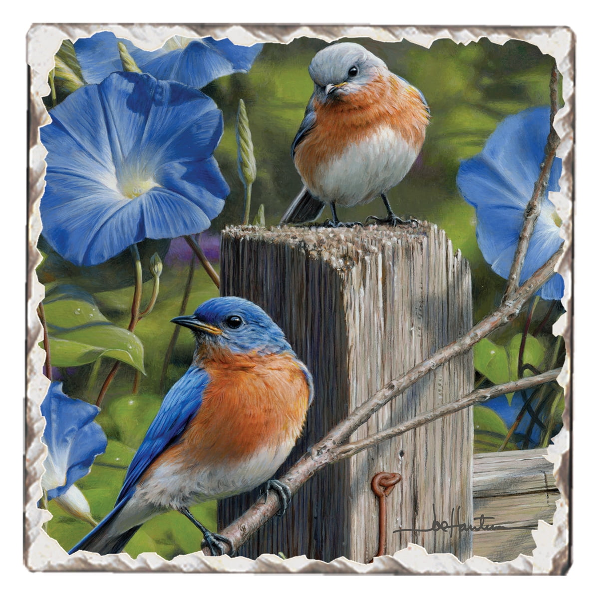 CounterArt "Style 3 Bluebirds" 1 Pack Single Absorbent Stone Tumbled ...