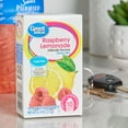 Great Value Sugar-Free Raspberry Lemonade Powdered Drink Mix, 0.07 oz ...