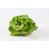 Fresh Bibb Lettuce, 1 Each - Walmart.com