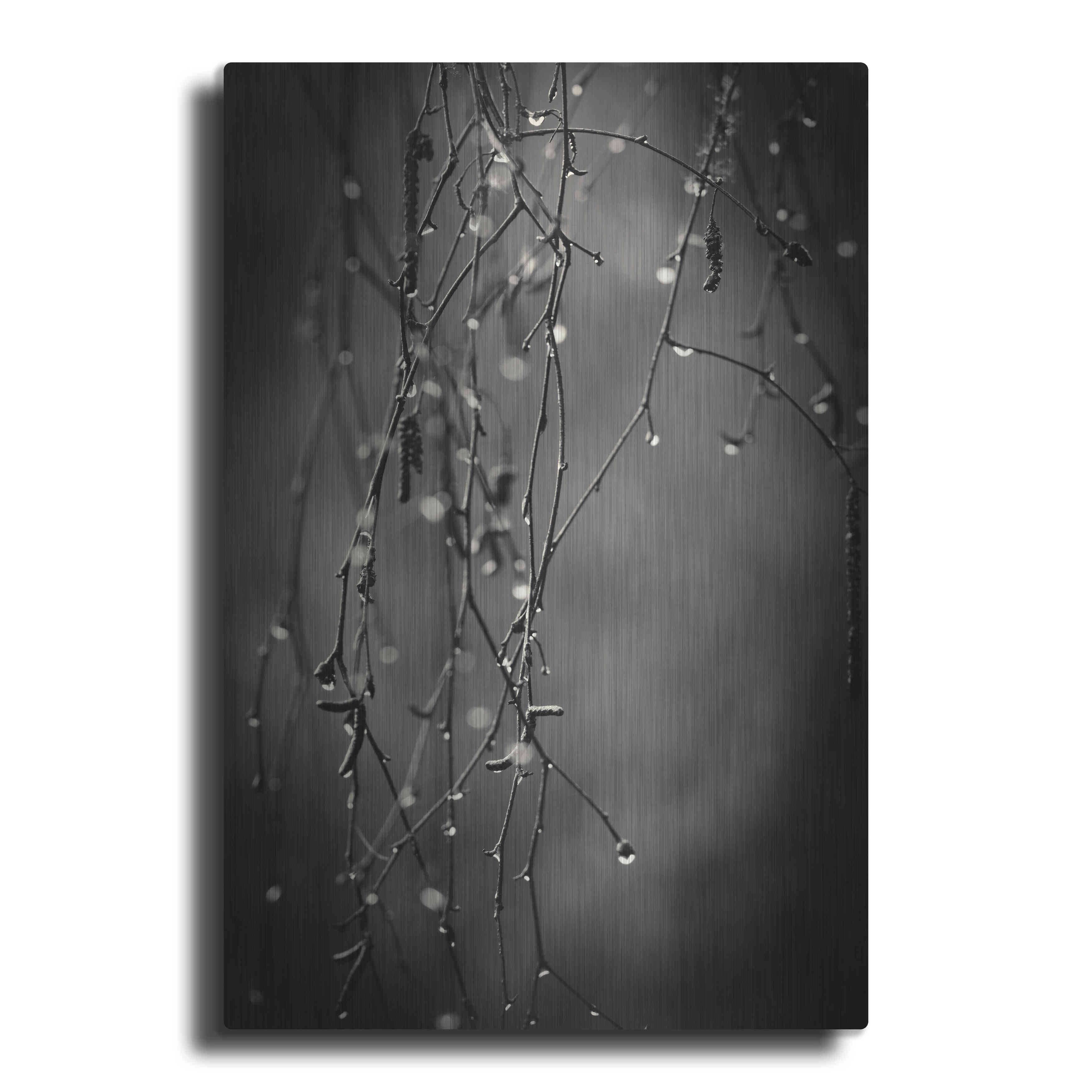 Luxe Metal Art 'Bare Branches 2017' by Gary Horsfall, Metal Wall Art ...