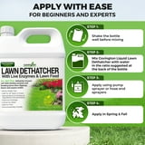 Liquid Lawn Dethatcher, Aerator and Soil Conditioner, 32 oz, Safe for ...