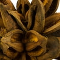 Vickerman 12-16" Aspen Gold Star Pod, Extra Large - Walmart.com