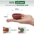 2.5 Inch Small Ceramic Succulent Planter Pots with Drainage Holes, Set ...