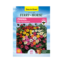 Burpee Candy Cane Mix Zinnia Annual Flower Seeds, 1-Pack, Full Sun ...