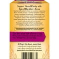 Yogi Tea Spiced Blackberry Focus, Black Tea, Wellness Tea Bags, 6 Boxes ...