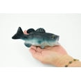 Bass, Largemouth Bass, Museum Quality, Hand Painted, Rubber Fish Figure ...