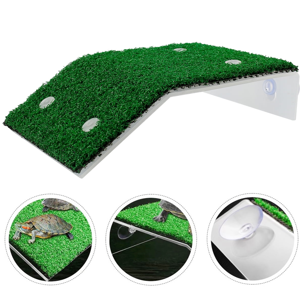 Protoiya Turtle Basking Platform Tortoise Ramp Reptile Ladder Resting