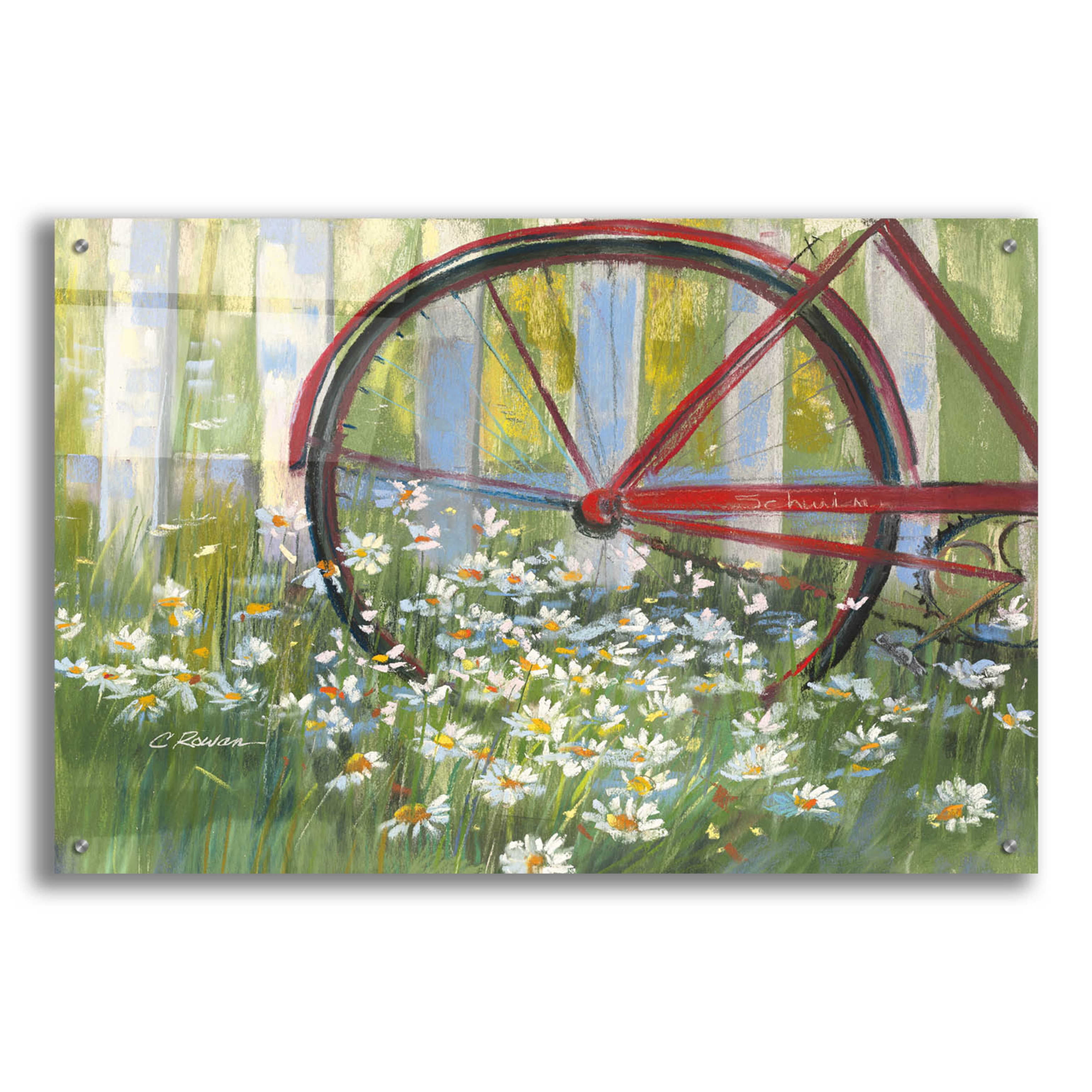 Epic Art 'Bicycle By The Fence Crop' by Carol Rowan, Acrylic Glass Wall ...
