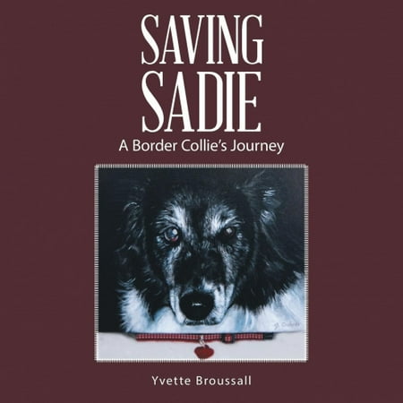 Saving Sadie: A Border Collie's Journey | Walmart Canada