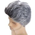 Men Wigs Short Gray Wig Synthetic Heat Resistant Natural Halloween ...