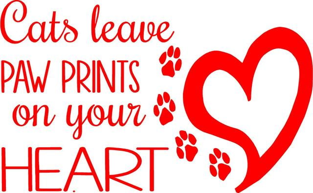Cat Paw Print Quote - Wall Decal / Heart Bedroom Sticker - 20"x12 ...