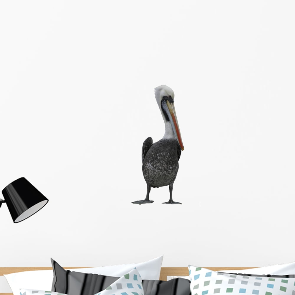 Pelican Wall Decal by Wallmonkeys Peel and Stick Graphic (36 in H x 16 ...