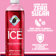 Sparkling Ice® Black Raspberry Flavored Sparkling Water, Zero Sugar, 17 ...