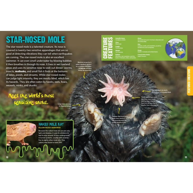 True And Freaky Animal Planet