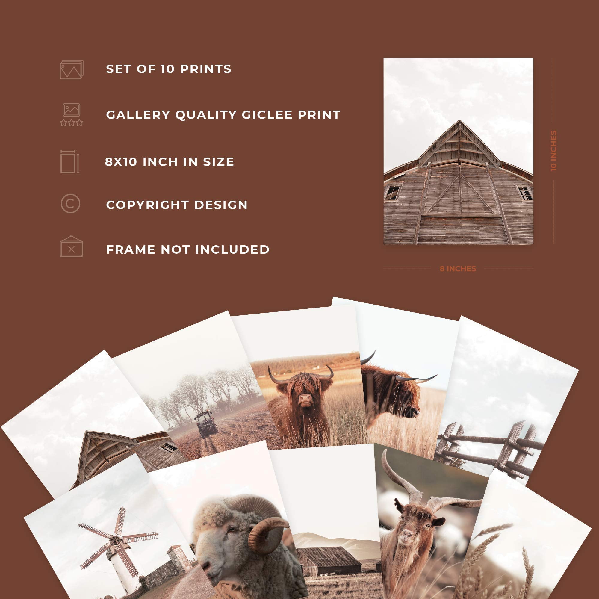 Buy Cozy Side Cow Print Rustic Highland Art Posters - Rustic Highland ...