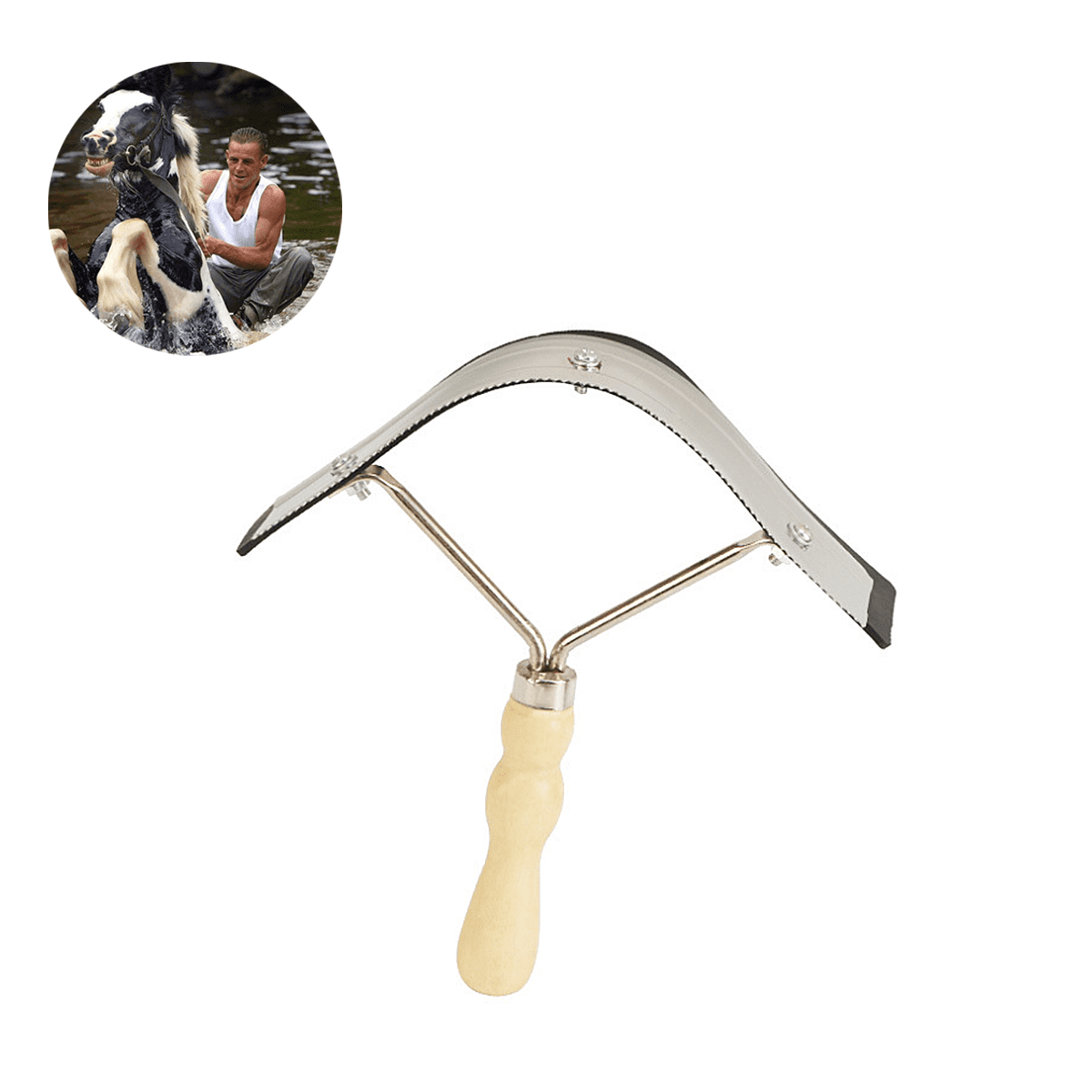 Brushes for cows and horses, shaving combs and flexion of hair ...