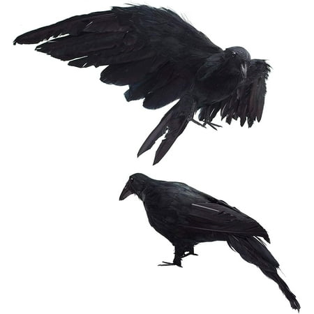 2-Pack Realistic Crows Lifesize Extra Large Handmade Black Feathered ...