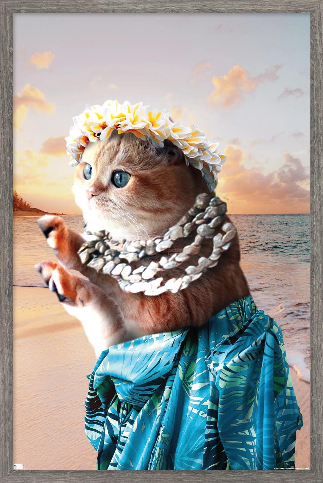 James Booker - Aloha Cat Wall Poster, 22.375" x 34" Framed - Walmart.com