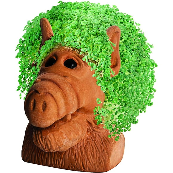 Chia Pet | Walmart Canada