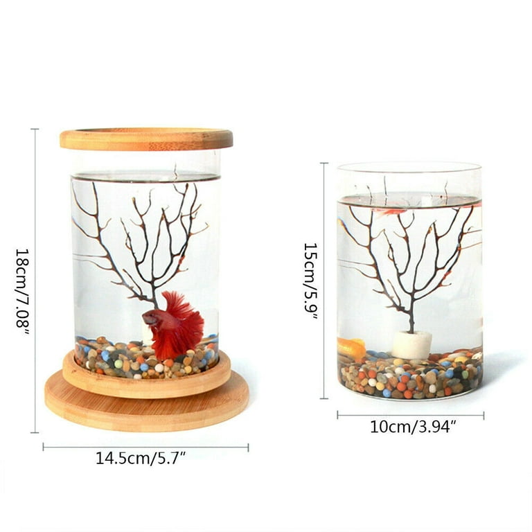 Betta Fish Tanks With Bamboo