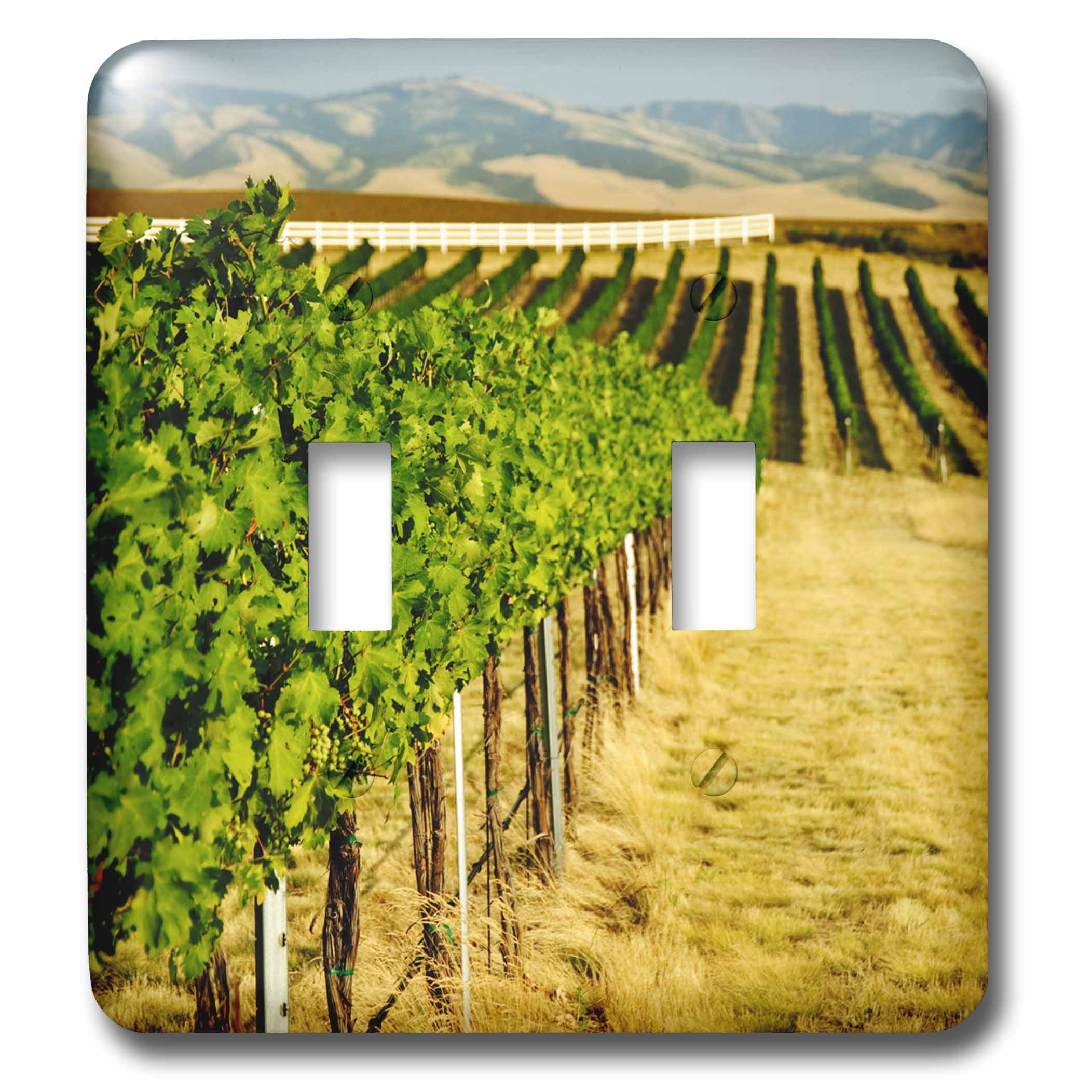 Washington, Walla Walla. Blue Mountains, Vineyard - US48 RDU0231 ...