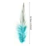 Uxcell 5-6 Inch Rooster Feathers, 100 Pack Bulk Natural Feathers for ...