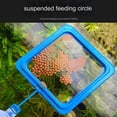 4X Fish Feeding Ring Floating Food Feeder Circle with Suction Cup Easy ...