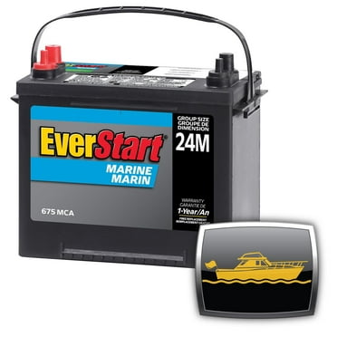 EverStart AUTO MAXX-H6, 12 Volt, Car Battery, Group Size H6/48, 730 CCA ...