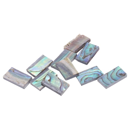 Gupbes Natural Abalone Shell Blanks,Abalones Shells Blanks,10Pcs ...