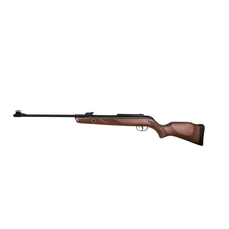 Air rifle Gamo Hunter- 440 cal. 4.5 mm to 17 J - Walmart.ca