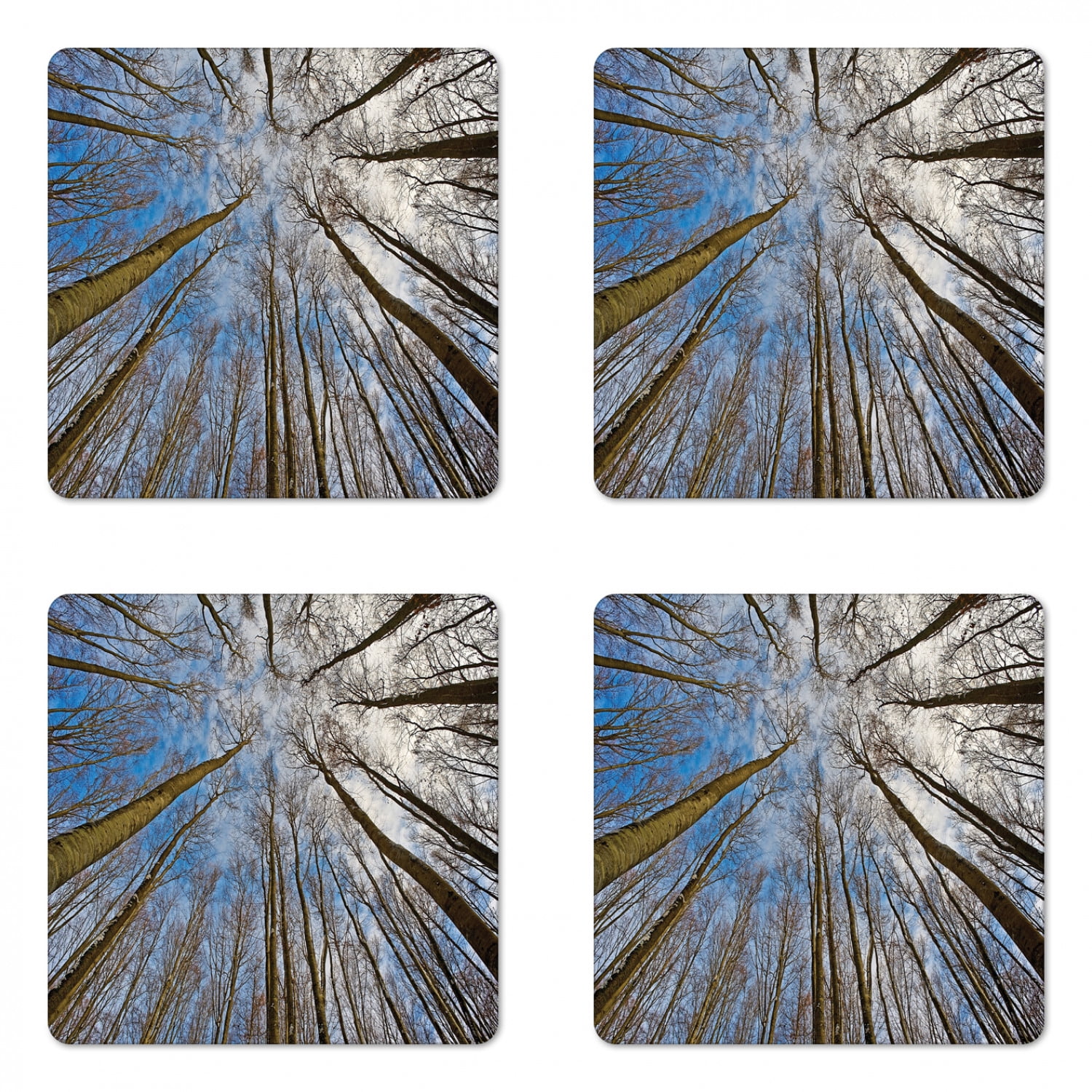 Nature Coaster Set of 4, Skyward Image of Leafless Twiggy Tree Trunk ...