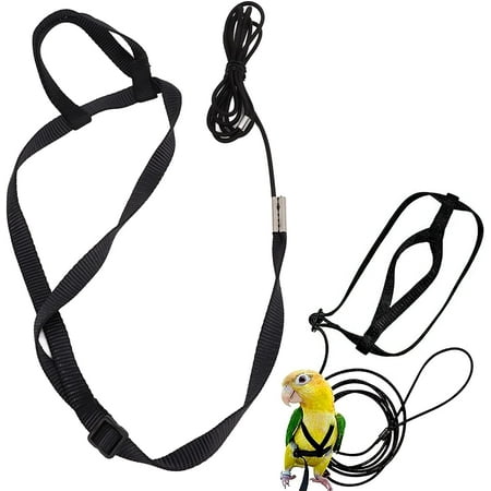 Bird Harness and Leash, Adjustable Parrot Outdoor Flying Training Rope ...